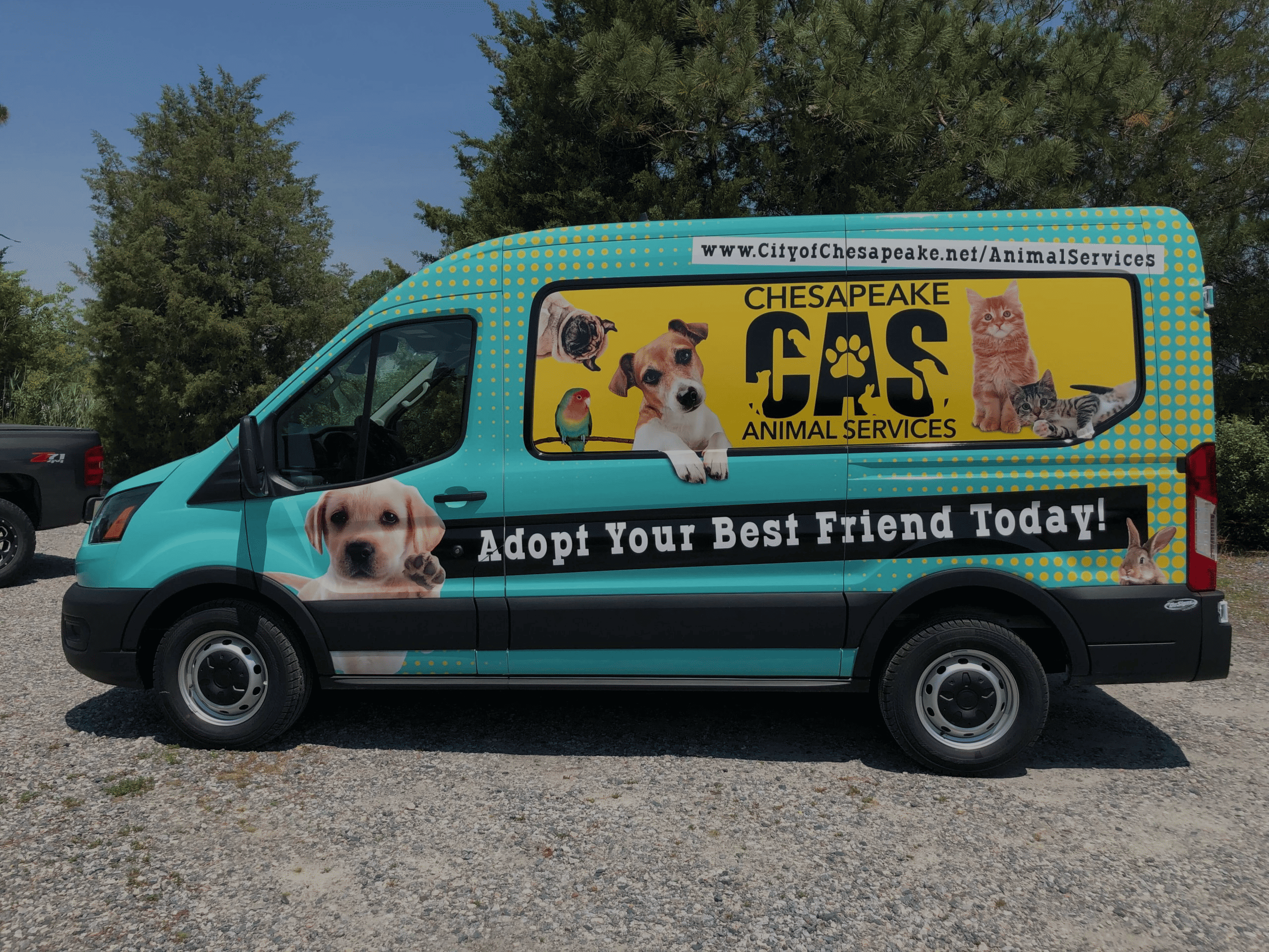 Van Wraps Lettering and Graphics - Box van, Mini van, Step-vans